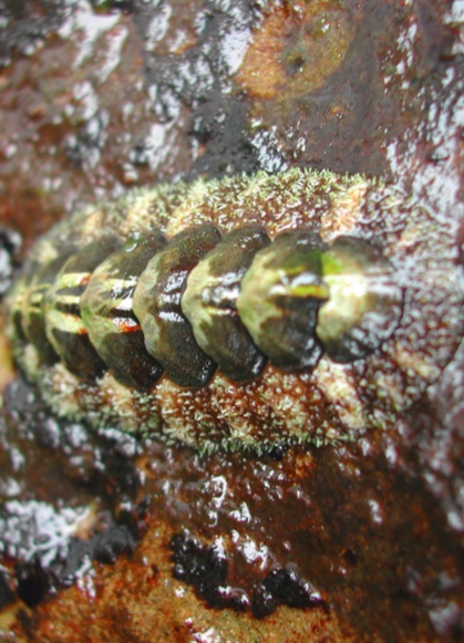 TPERP Today Article – CNM VIP Voice