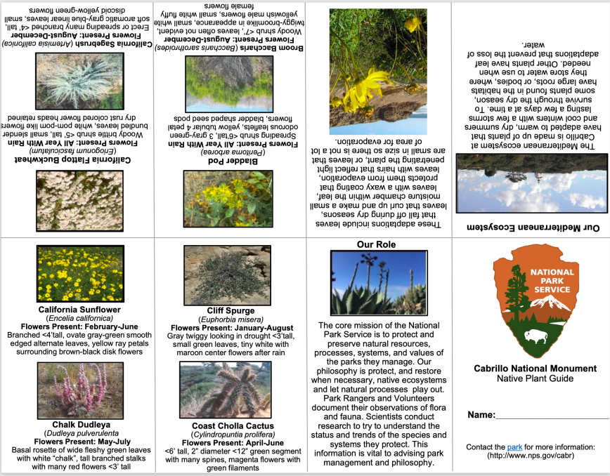 Native Plant Field Guide – CNM VIP Voice