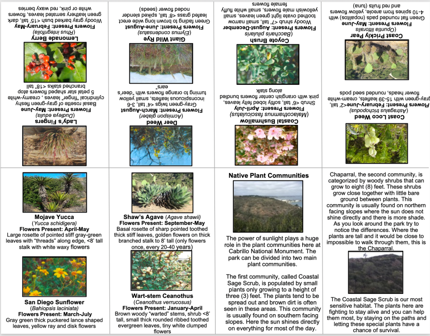 Native Plant Field Guide – CNM VIP Voice