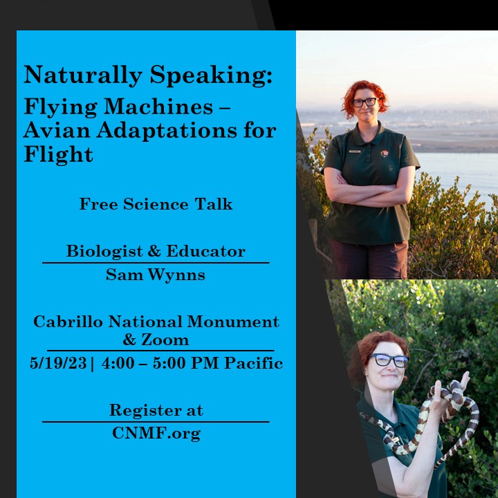 Naturally Speaking Series – Flying Machines – Avian Adaptations for ...